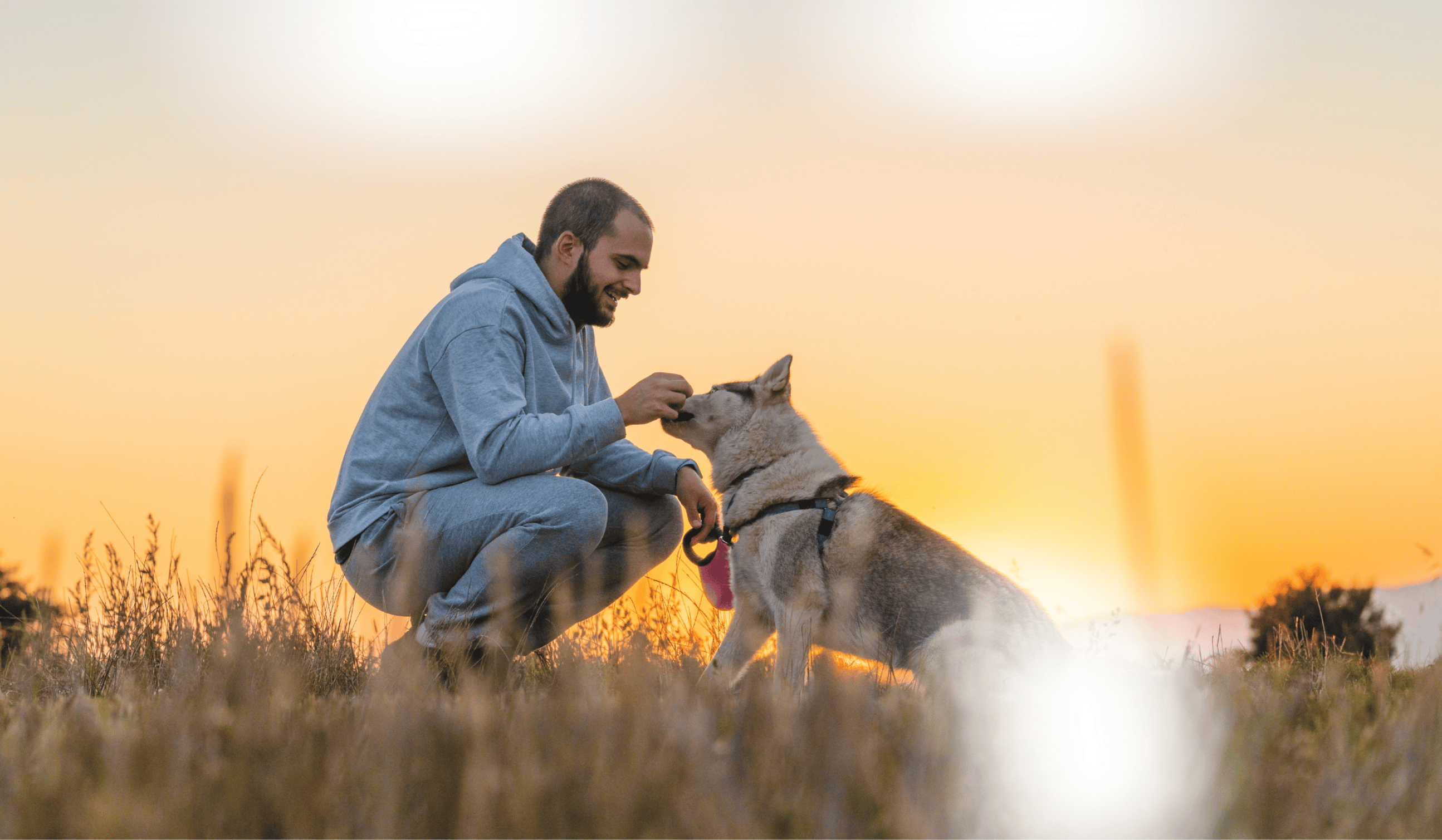 Budgeting for a Pet: Smart Financial Planning for Dog & Cat Owners ...